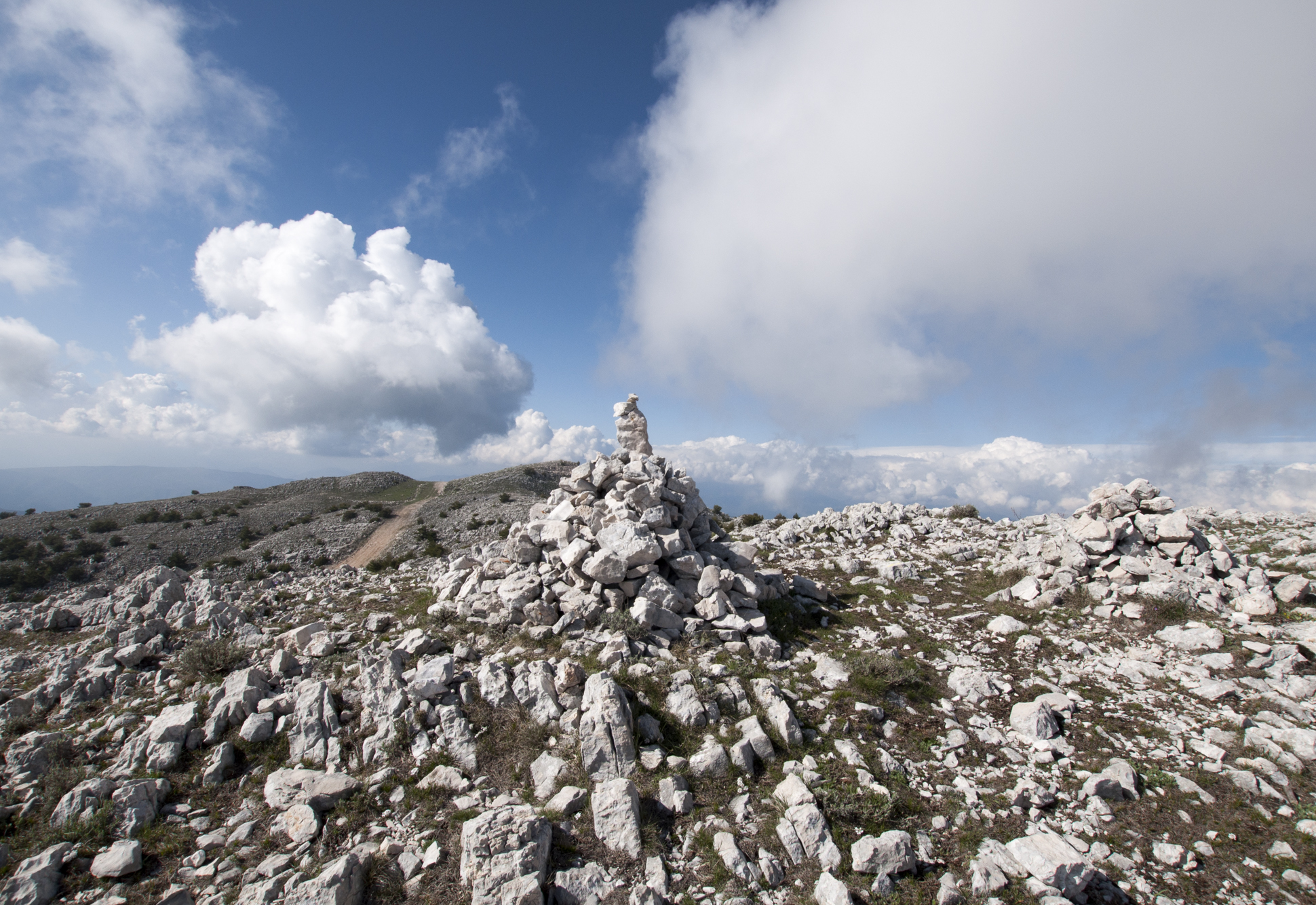 Randonnée - Montagne du Cheiron | Nature Break